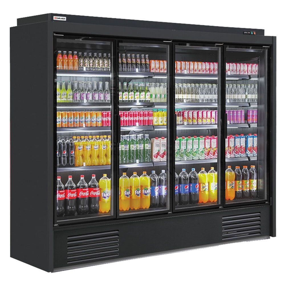 Raft frigorific mezeluri-lactate-bauturi 187cm - motor interior